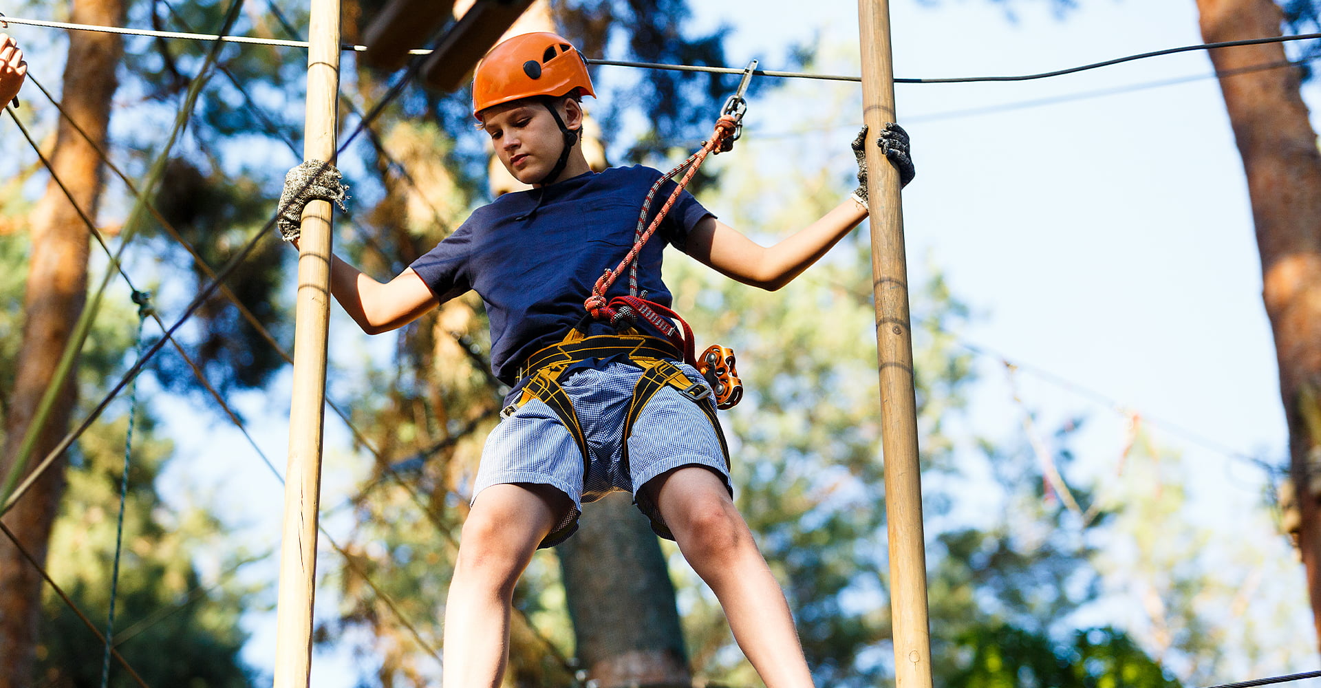 International Summer School | Samiad