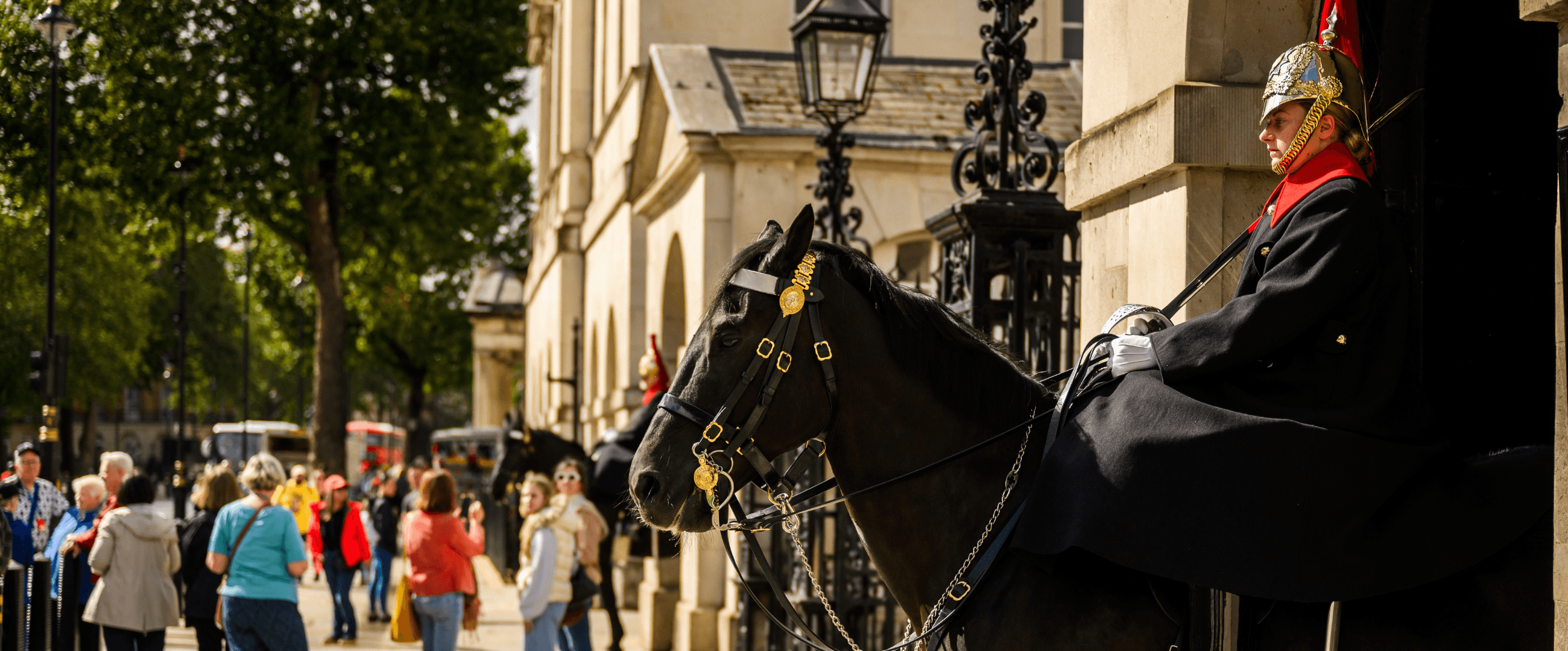 International Summer School | Samiad