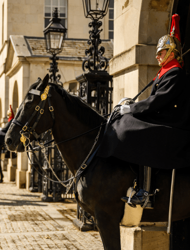 International Summer School | Samiad Summer Schools